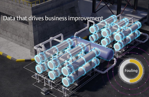 Plantweb Optics | Proconex